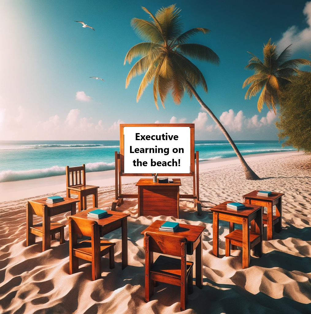 EXECUTIVE LEARNING AT THE BEACH - PEMSS